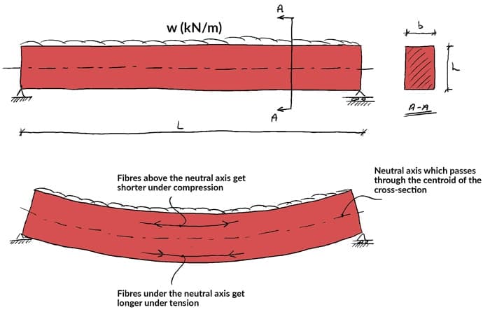 The Ultimate Guide to Shear and Moment Diagrams | EngineeringSkills.com